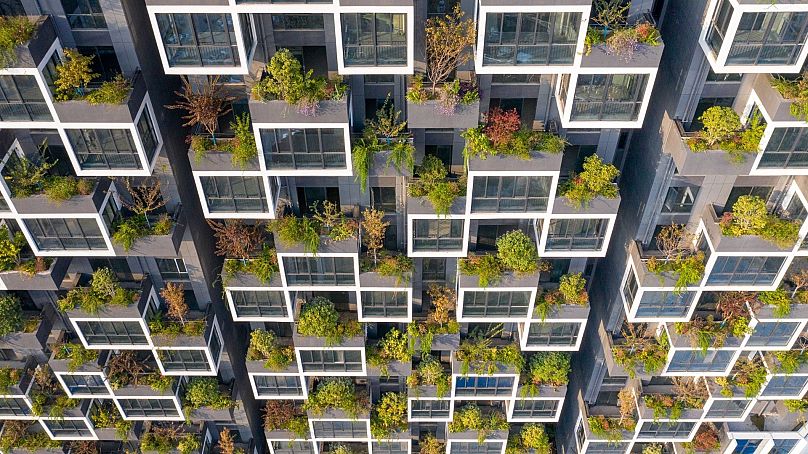 Take a look inside China's first vertical forest - home to 500 people ...