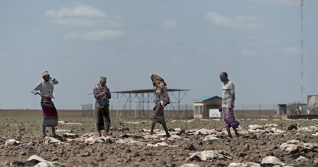 Livelihoods lost as climate disaster woes mount in Kenya | Africanews