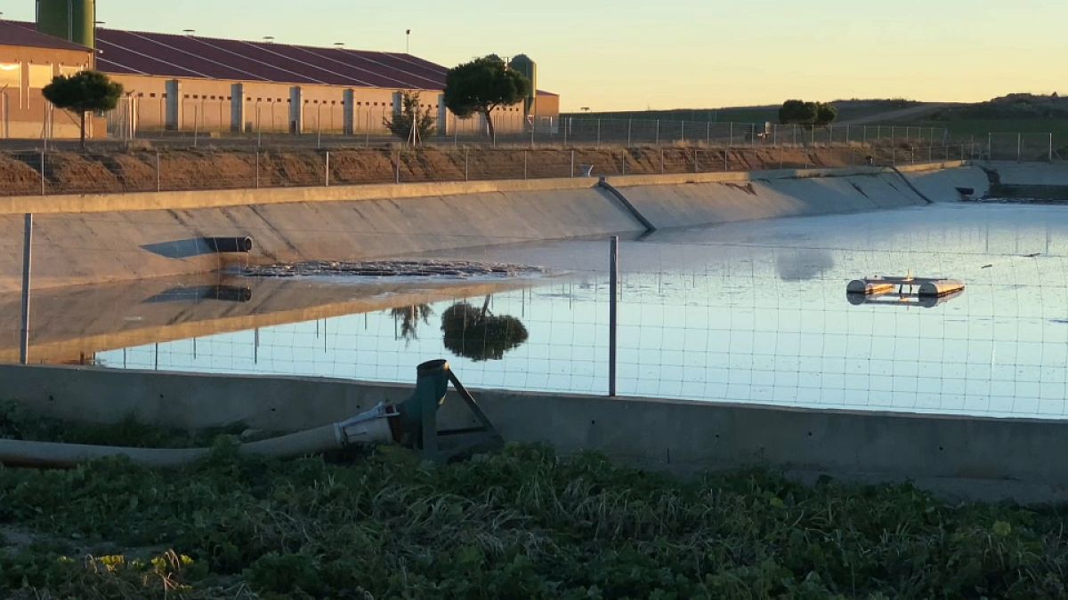 How nitrate water pollution is posing a threat to people and ecosystems ...