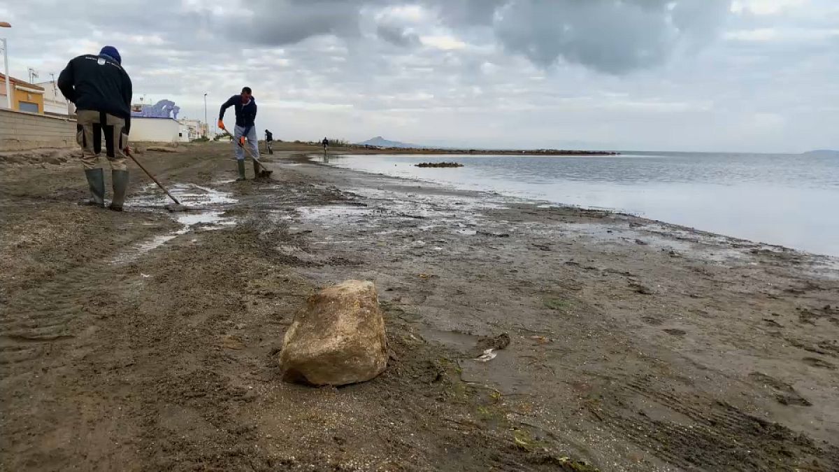 How nitrate water pollution is posing a threat to people and ecosystems ...