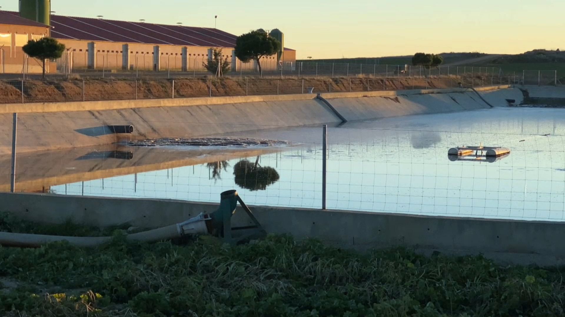 How nitrate water pollution is posing a threat to people and ecosystems ...