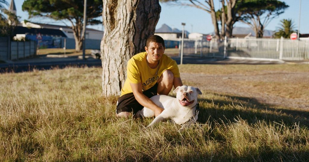Afrique du Sud : les combats illégaux de pitbulls en banlieue du Cap ...