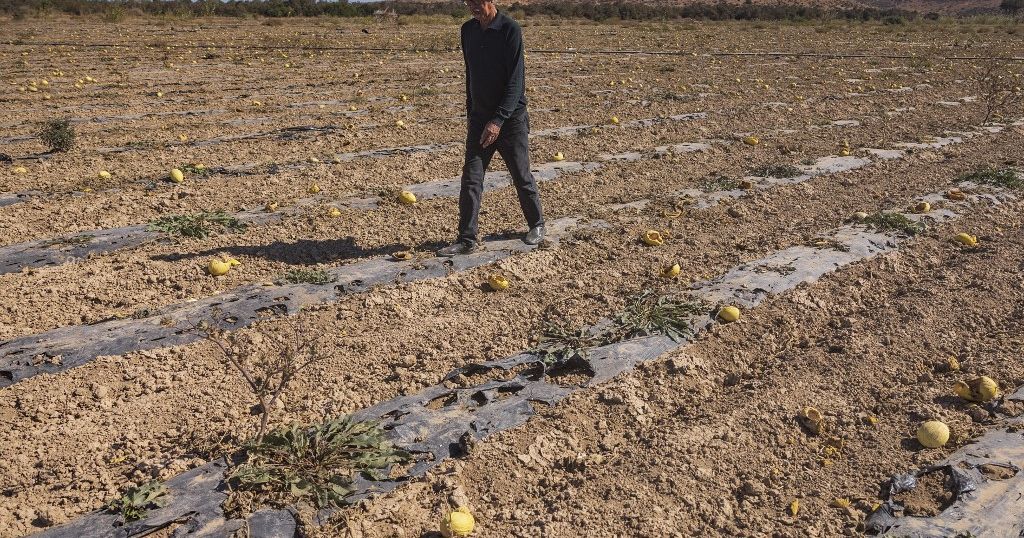 Maroc : la sécheresse à l'origine d'un exode rural | Africanews