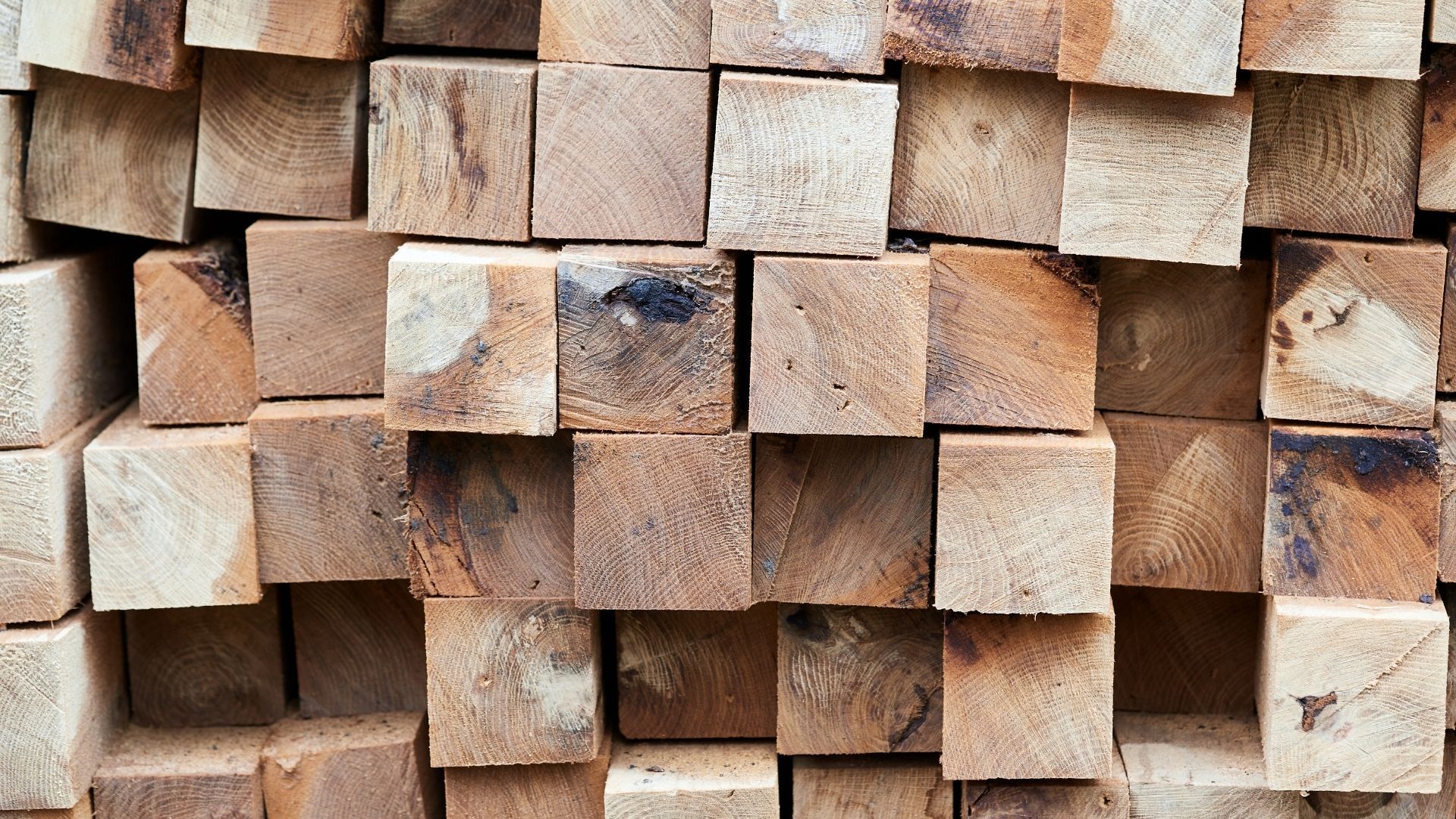 EU's mega-rich found to be fuelling the illegal 'blood timber' trade ...