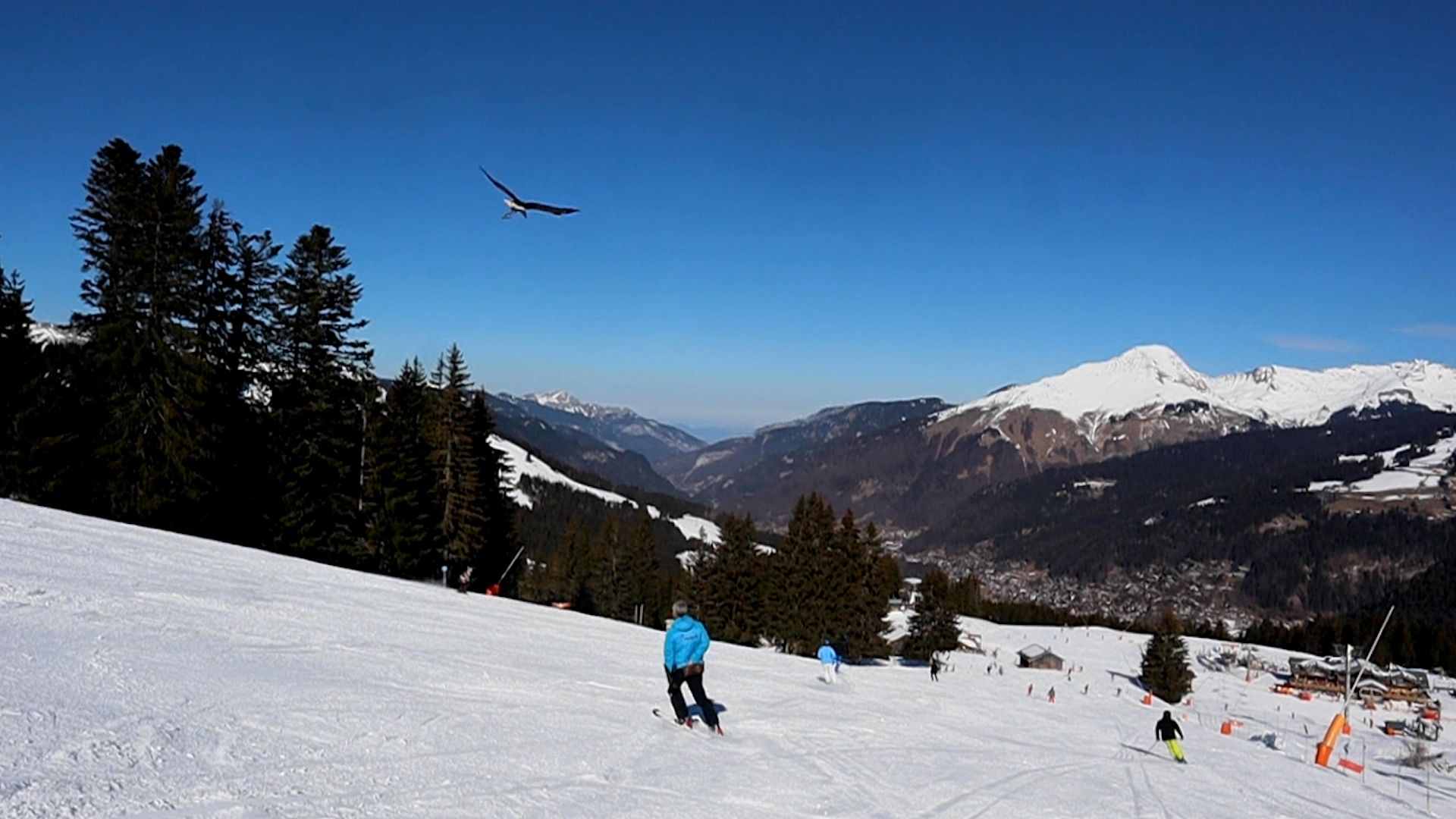 'I am the man who skis with eagles': Meet the skier bringing back birds ...