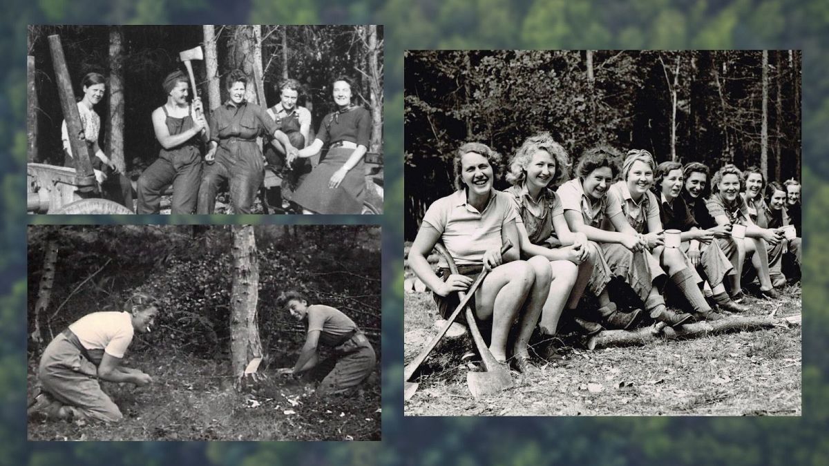 Women in the woods: How lumberjills are axing stereotypes to carve out ...