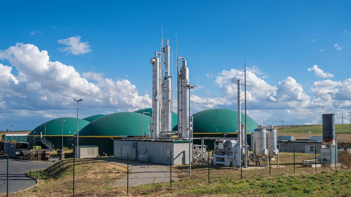 Biogas made from farm waste could replace Russian fossil fuels in ...
