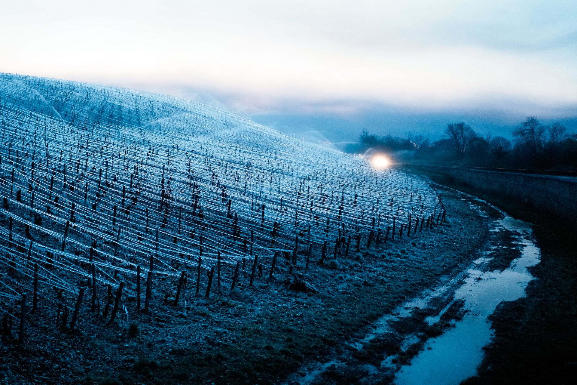 French winemakers light candles, desperate to save their grapes from ...