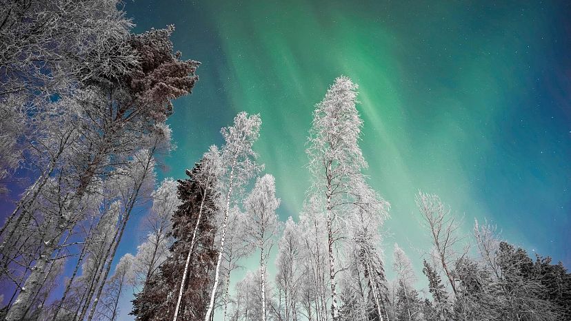 Why do people in Nordic countries consistently rank as the happiest and ...