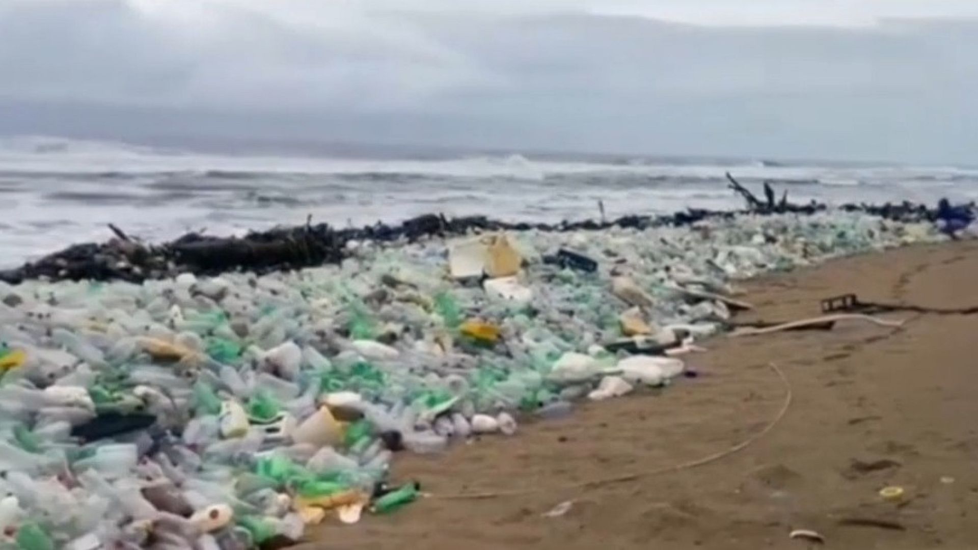 Video. Thousands of plastic bottles litter beach following catastrophic ...