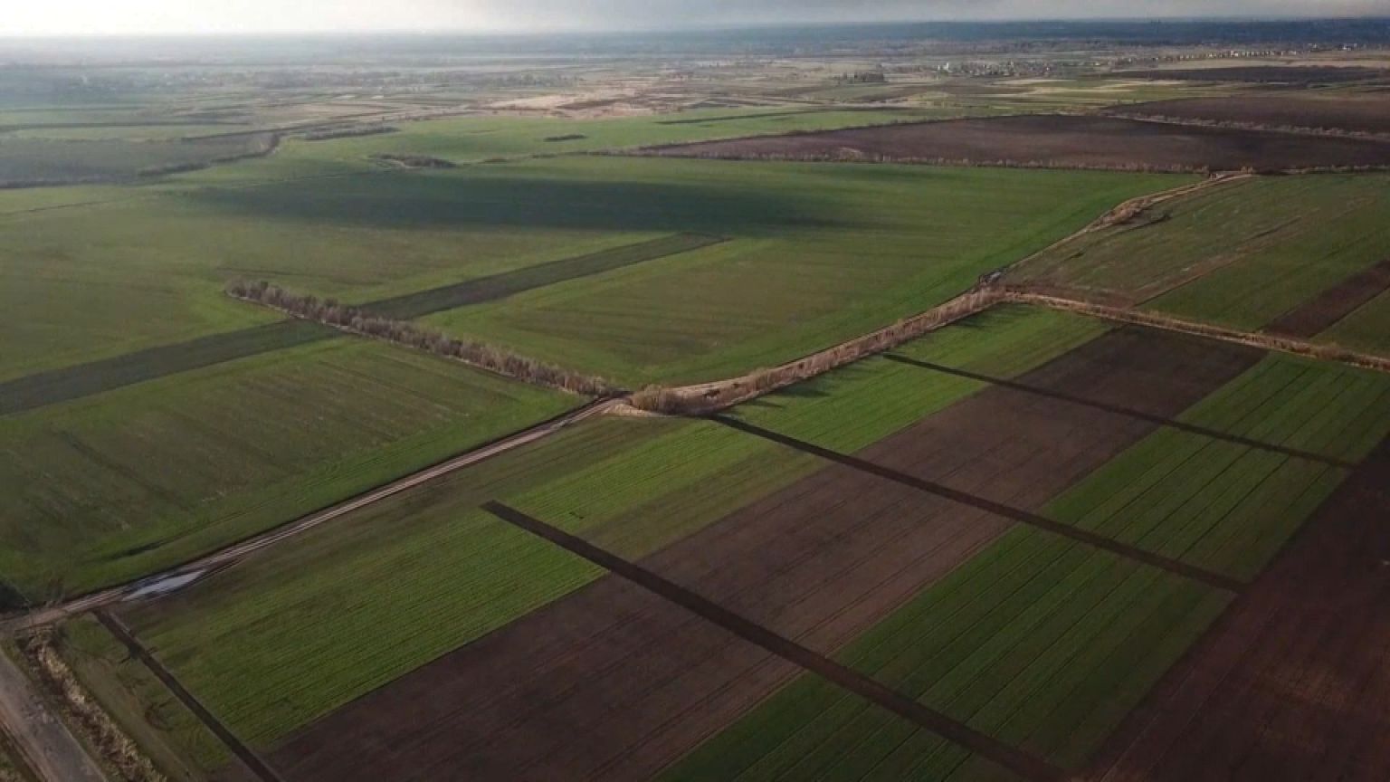 "La Russia ruba grano ucraino", l'accusa di Kiev | Euronews
