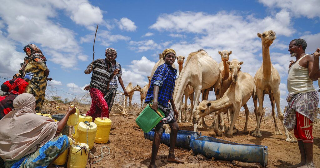 COP15: growing differently to fight against desertification - Archyde