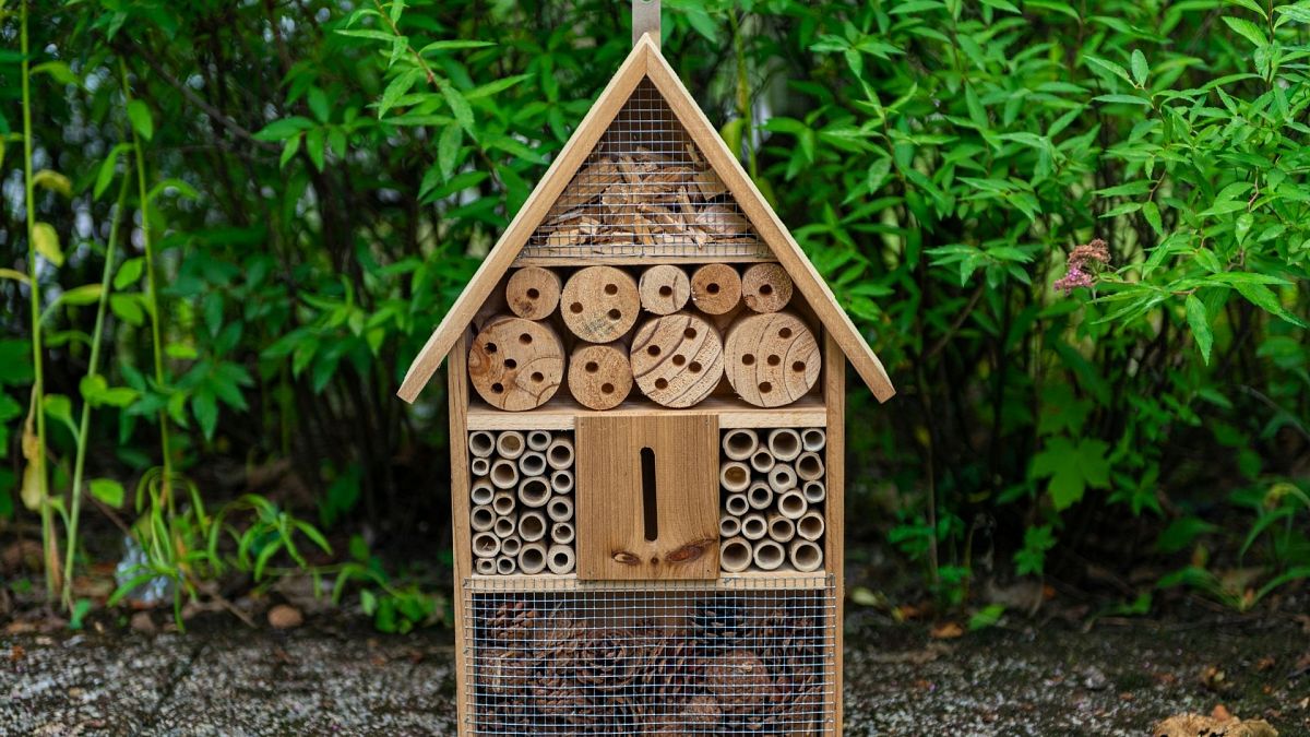 World Bee Day: These insect friendly hotels are the bee’s knees for ...