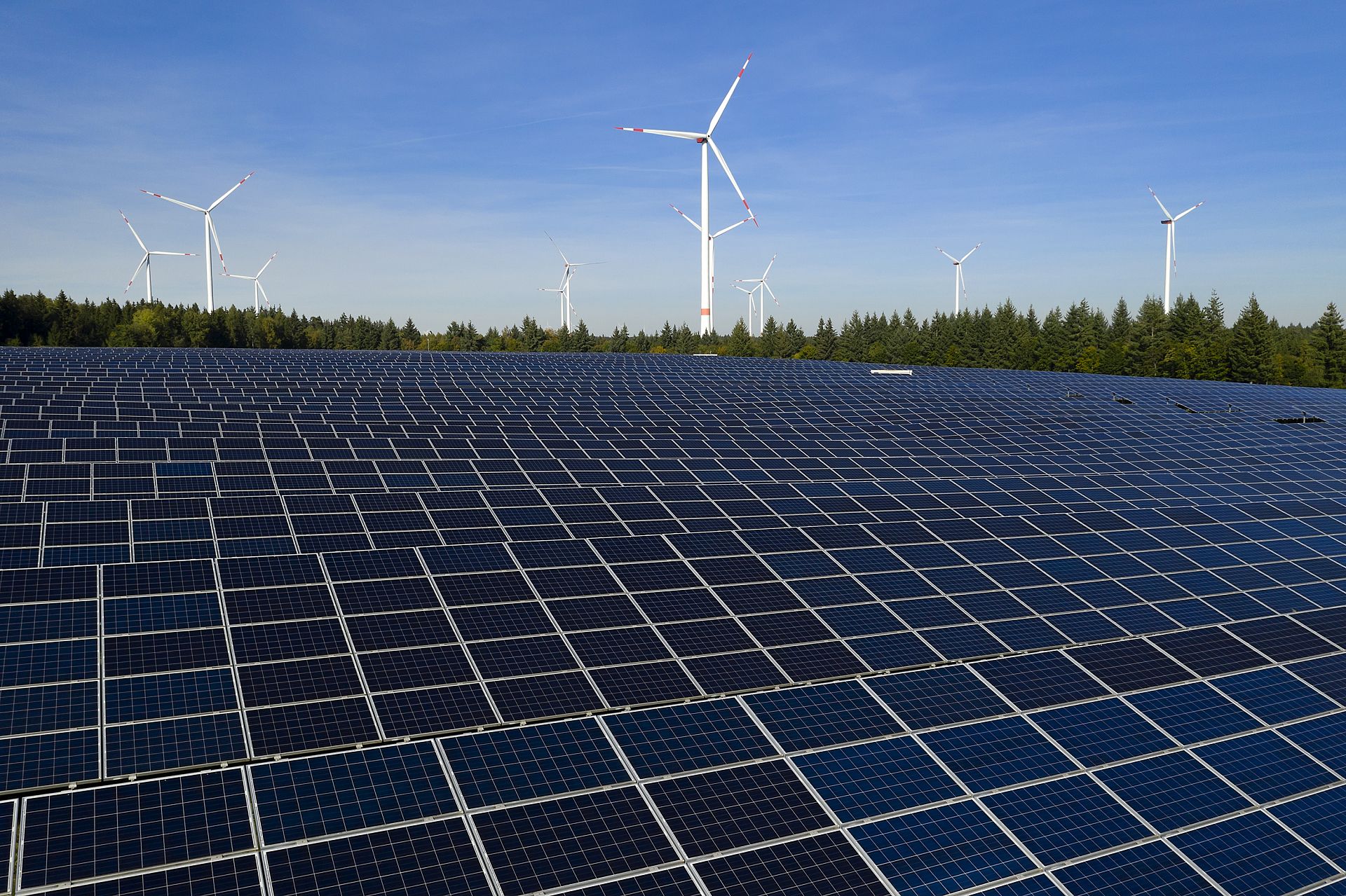 Powering up wind energy in a world of climate variability | Euronews
