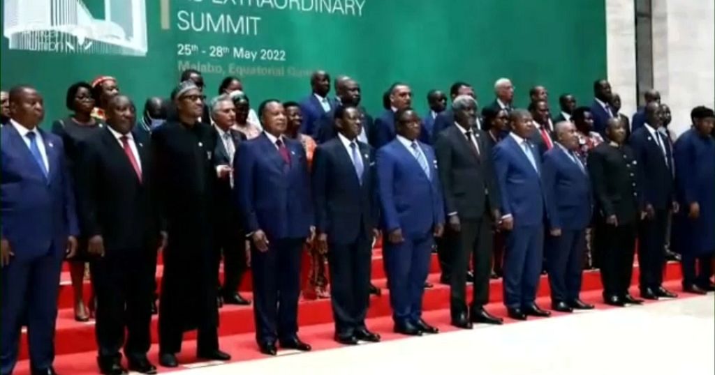 African Union leaders seek joint forces to combat terrorism | Africanews