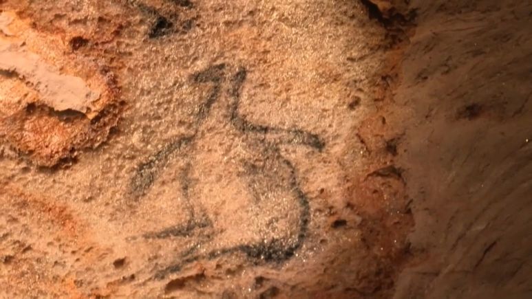 Francia | Las pinturas rupestres de la Gruta Cosquer desaparecerán por ...