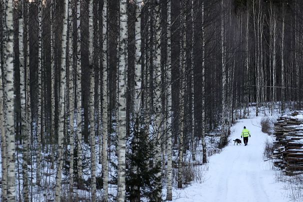 Finland is aiming to go carbon negative by 2040 - here’s how | Euronews