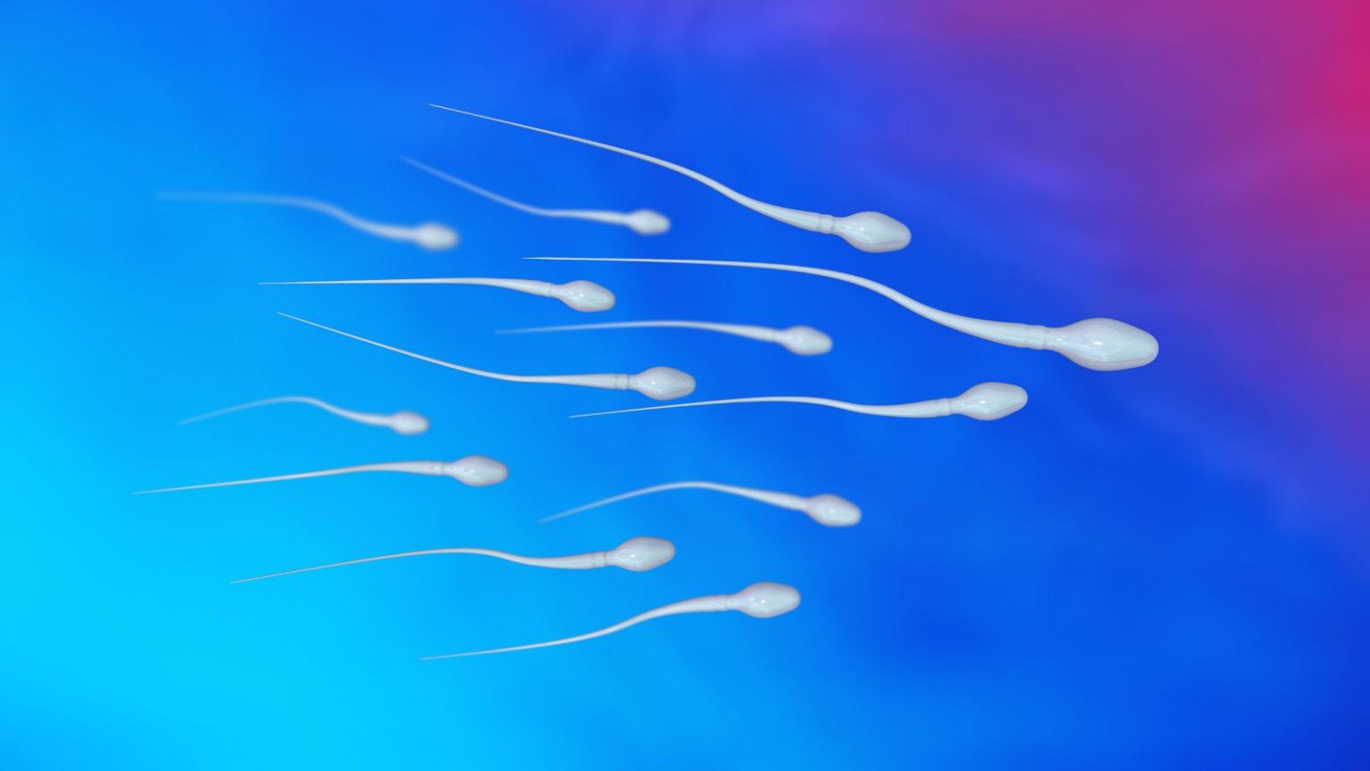 Research into falling sperm counts finds 'alarming' levels of chemicals ...