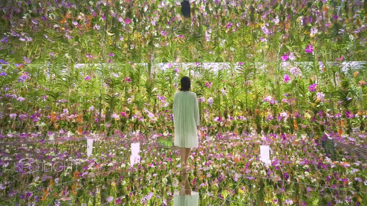 Abu Dhabi to launch TeamLab Phenomena on Saadiyat Island | Euronews