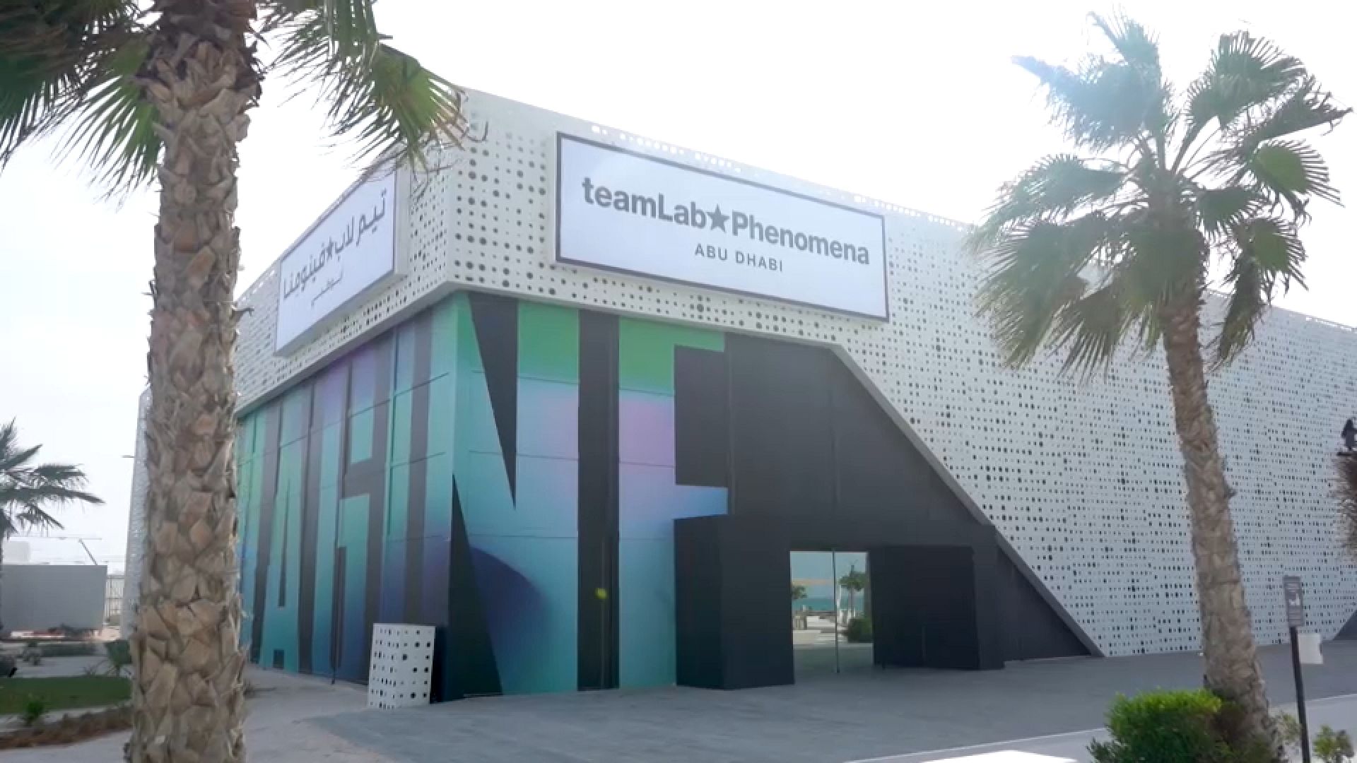 Découvrez "teamLab Phenomena Abu Dhabi" pour un voyage artistique et ...