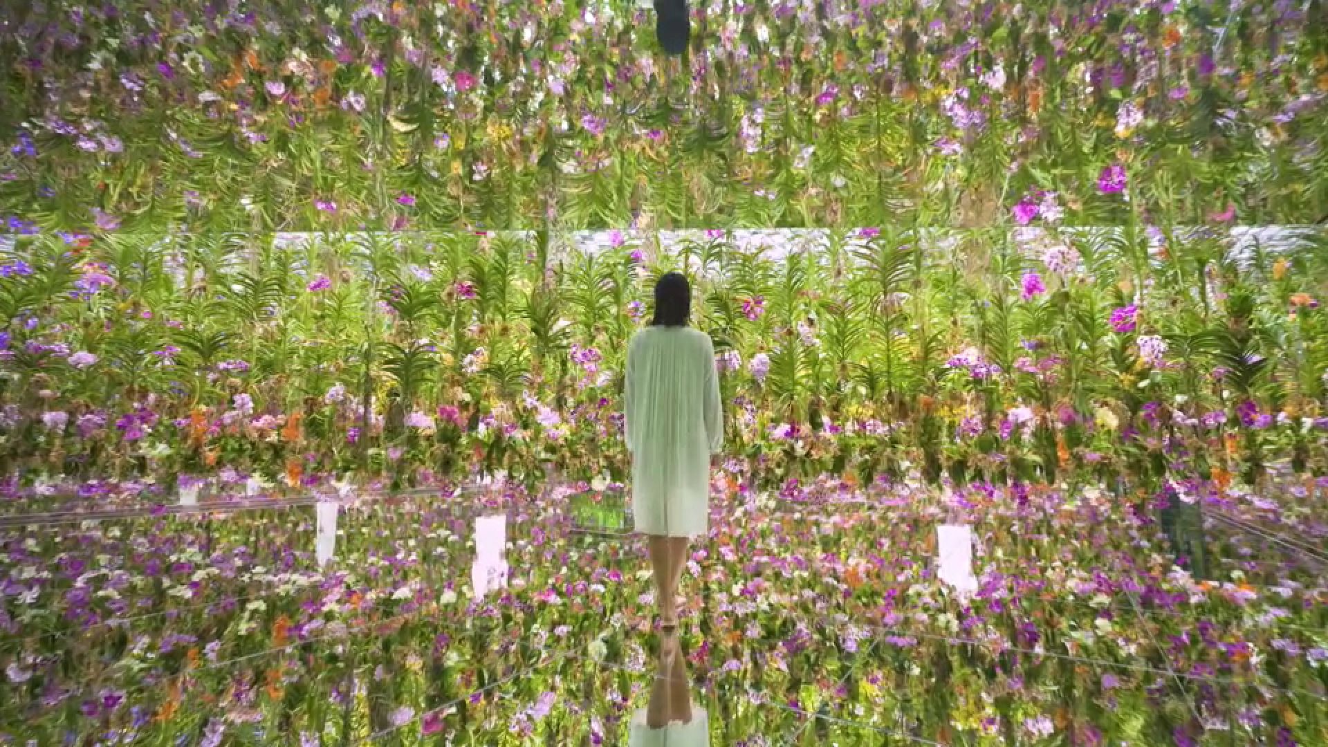 Découvrez "teamLab Phenomena Abu Dhabi" pour un voyage artistique et ...
