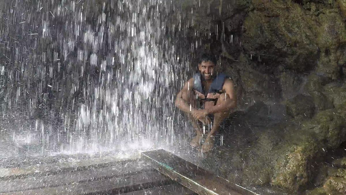 The jungle environmentalist saving elephants in Thailand | Euronews