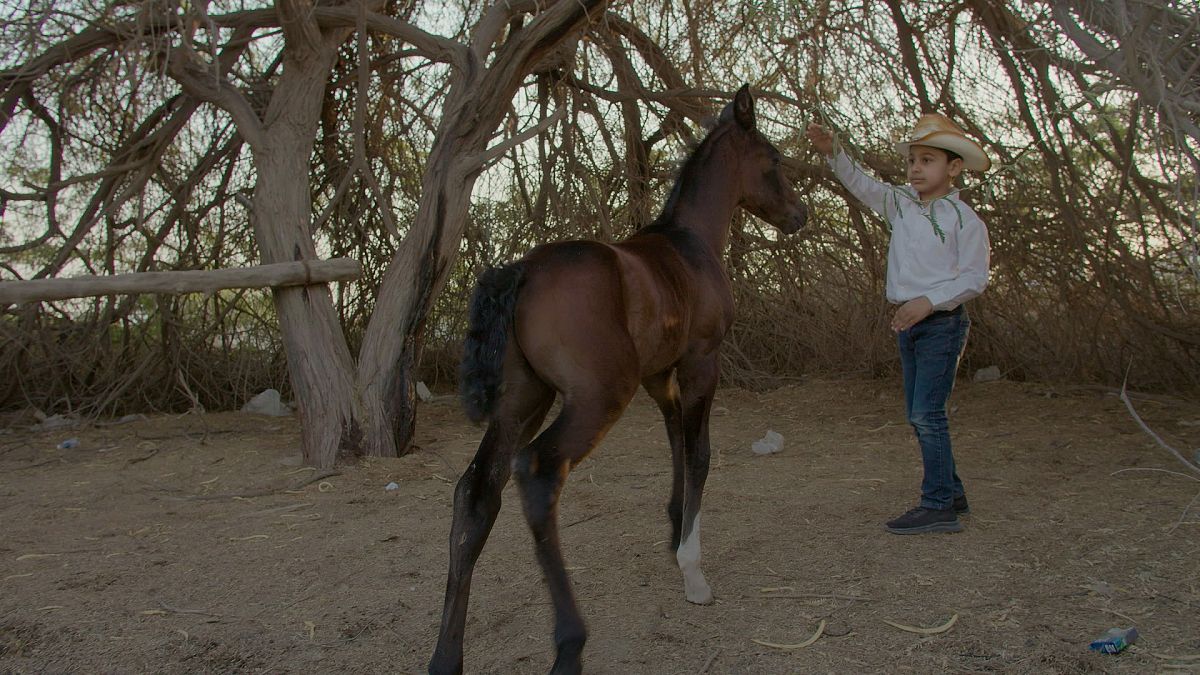 The cowboys roaming the deserts of Bahrain | Euronews