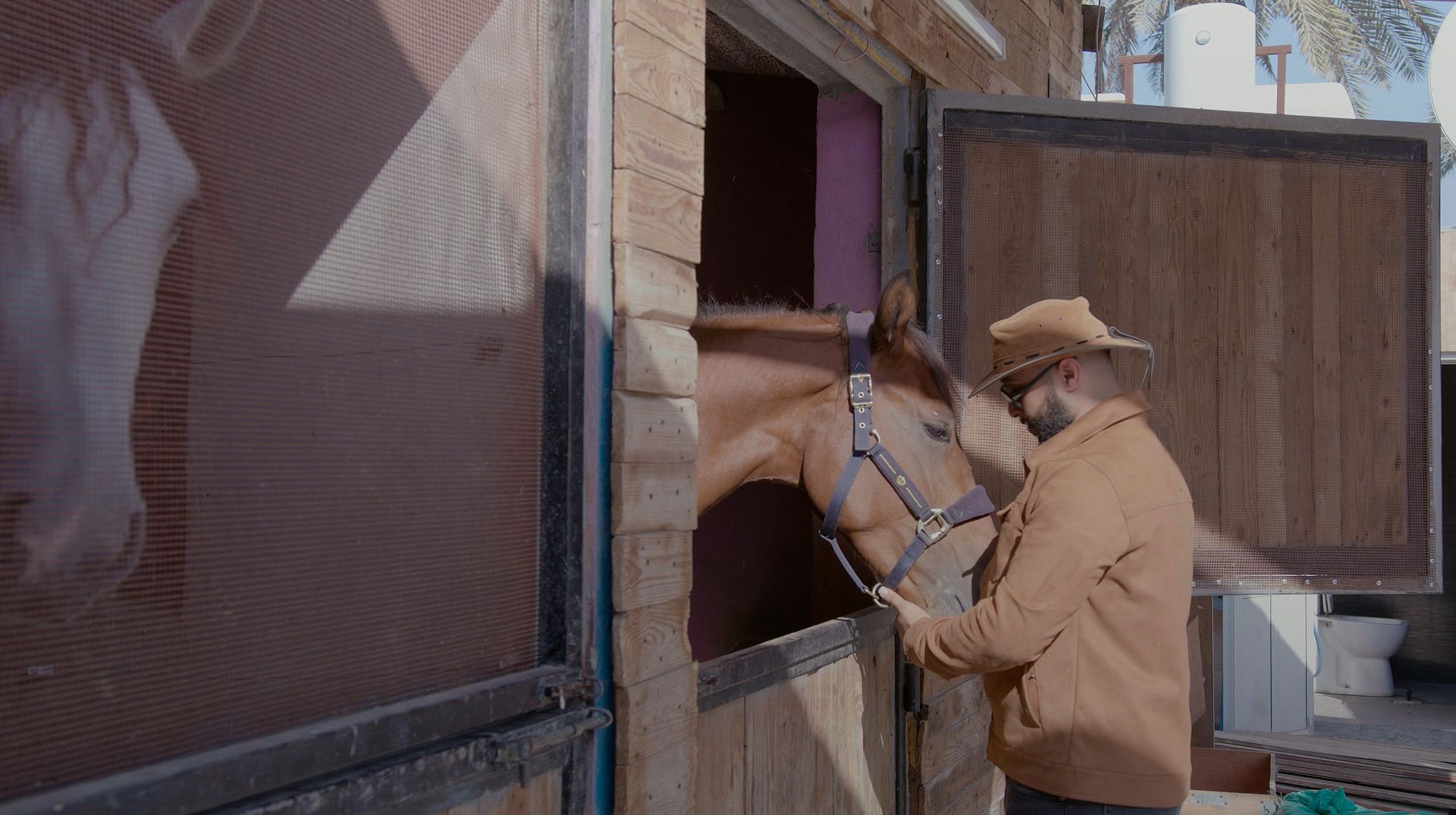 The cowboys roaming the deserts of Bahrain | Euronews
