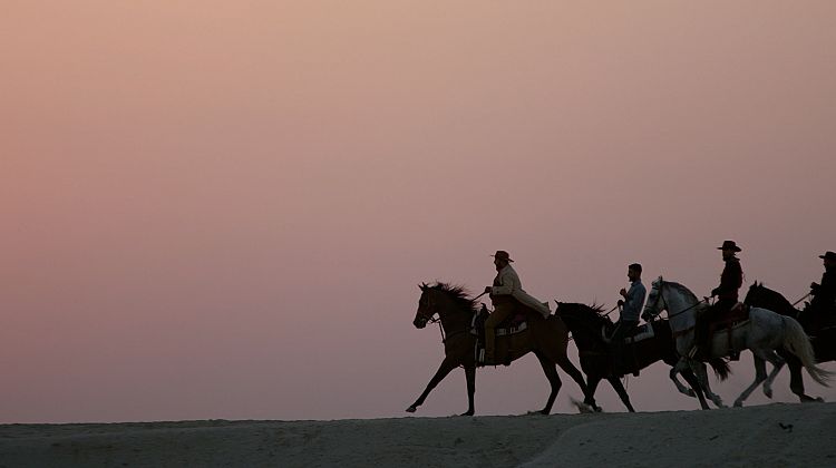 The cowboys roaming the deserts of Bahrain | Euronews