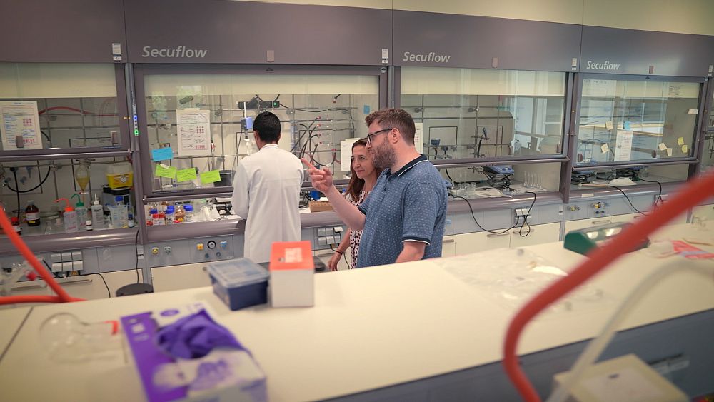 The smart sensor that could transform food and farming | Euronews