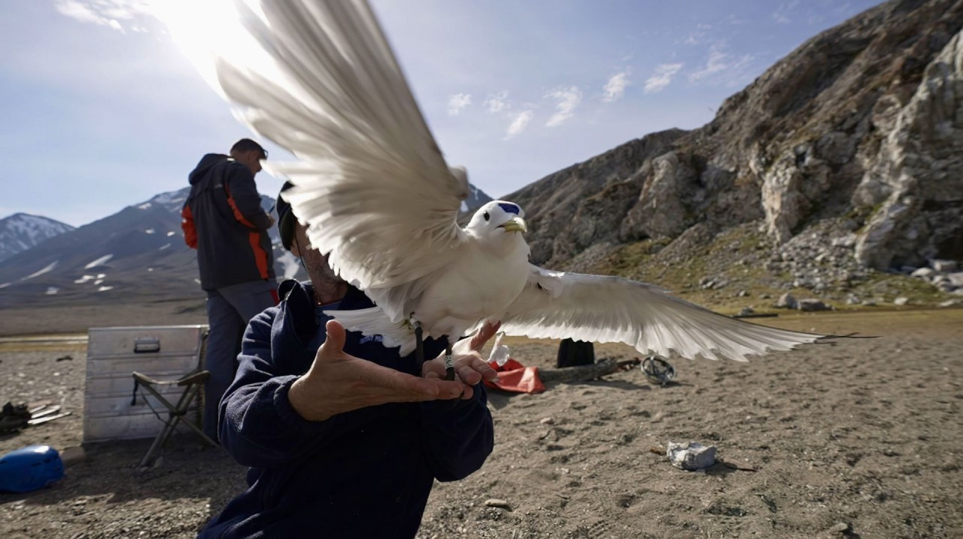 Ils étudient l'Arctique, région du monde qui se réchauffe le plus vite ...