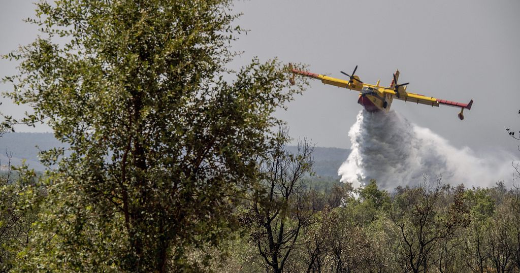 Morocco's largest fires about to be contained - Authorities | Africanews