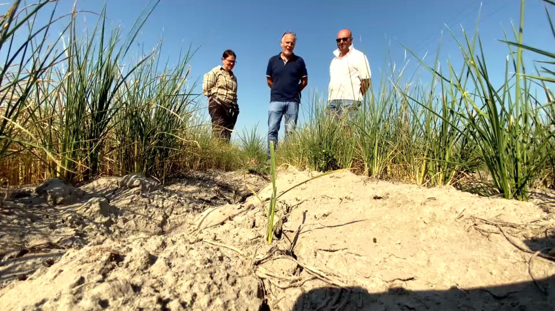 Feeling the heat: the cost of Italy's worst drought in decades | Euronews