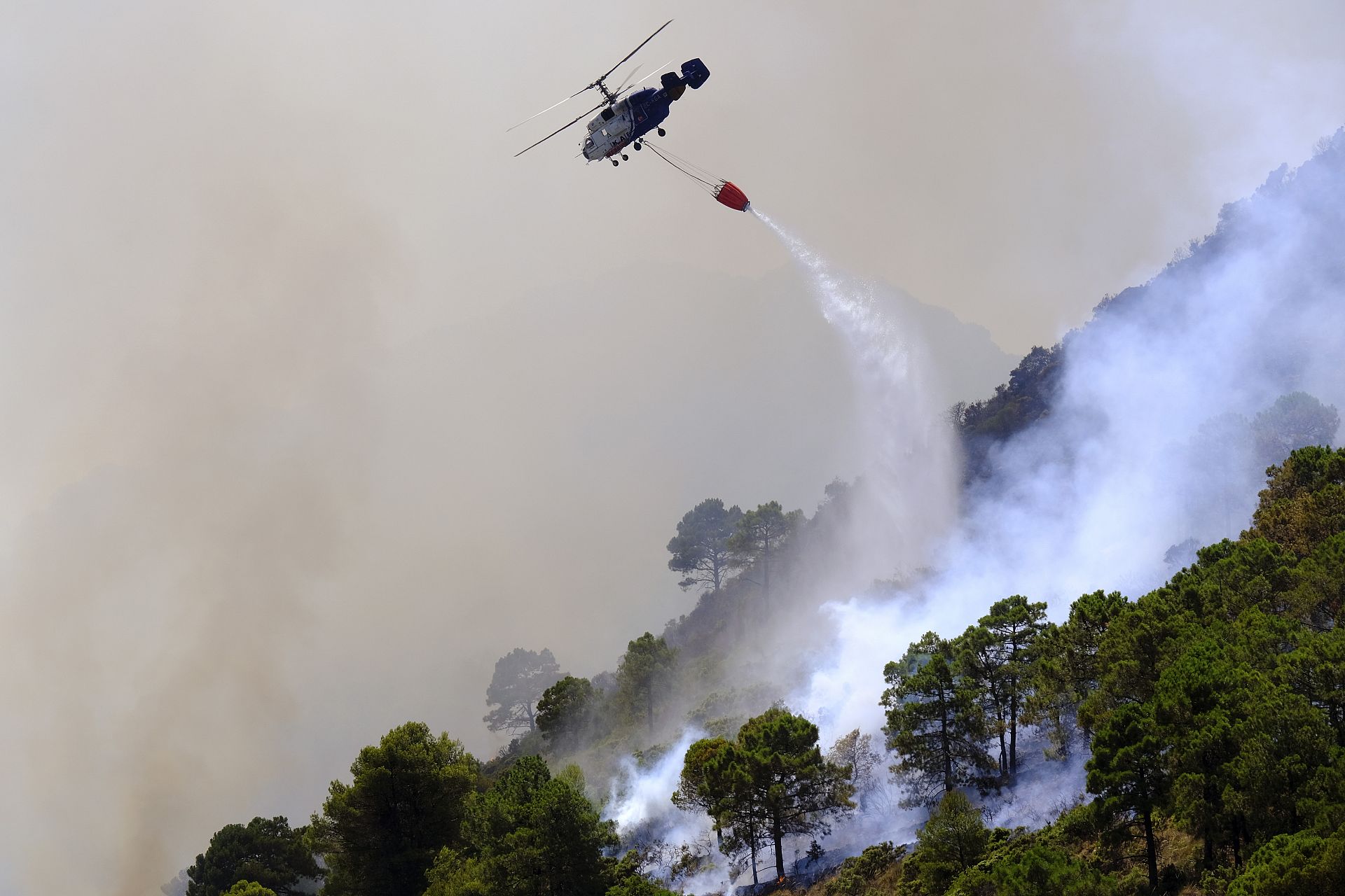 The EU is short on military planes to put out wildfires, but Airbus ...