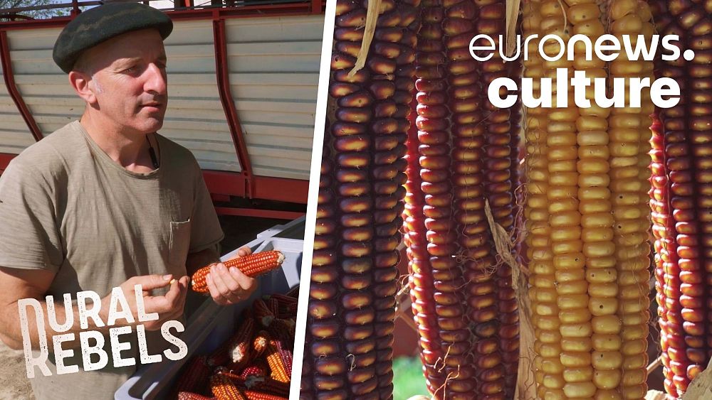 Why is this Basque farmer reviving a traditional, colourful and ...