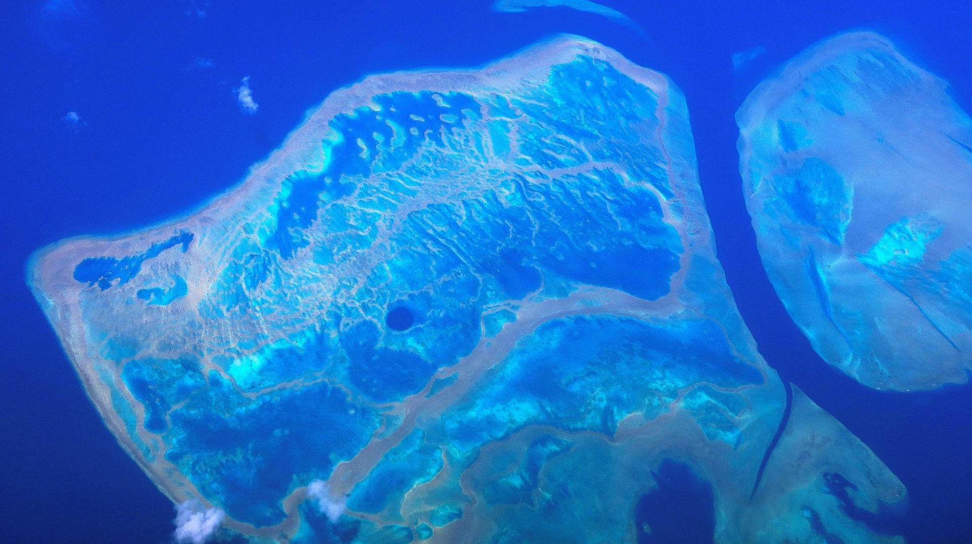 Australia's Great Barrier Reef shows best signs of coral recovery in 36 ...