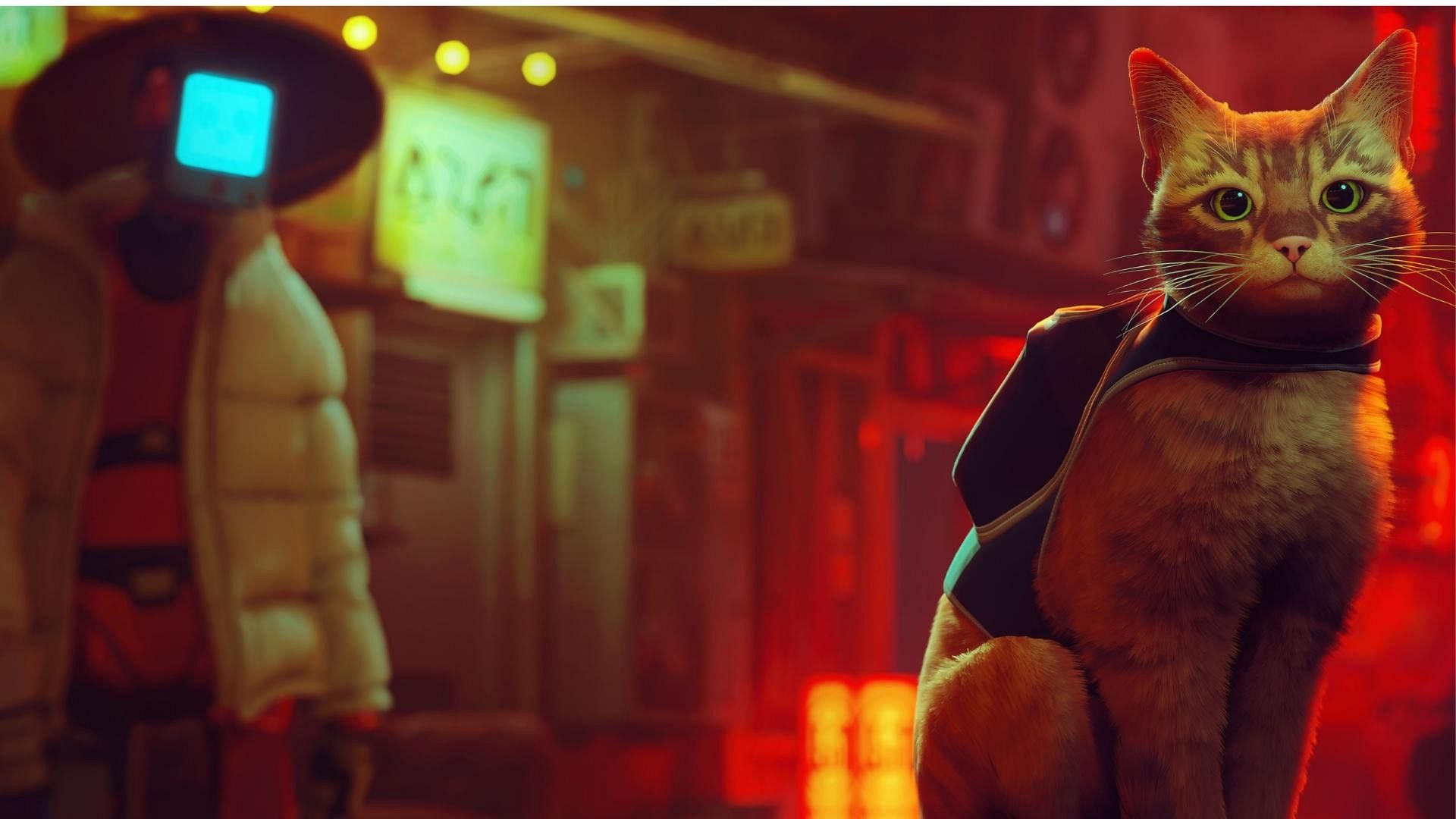 Cat game Stray is raising money for real-life strays | Euronews