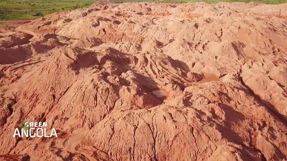 Reboisement, recherche et développement, l'ambition verte de l'Angola ...