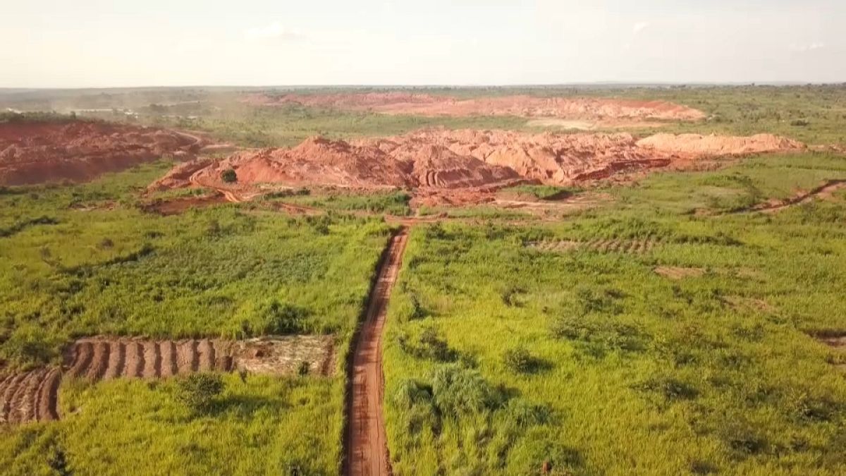 Reforma de la Reforestación o un ambicioso programa para reverdecer y ...