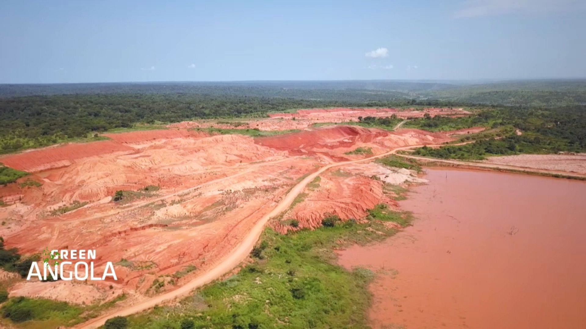 O ambicioso programa de reflorestação de Angola pinta o futuro de verde ...