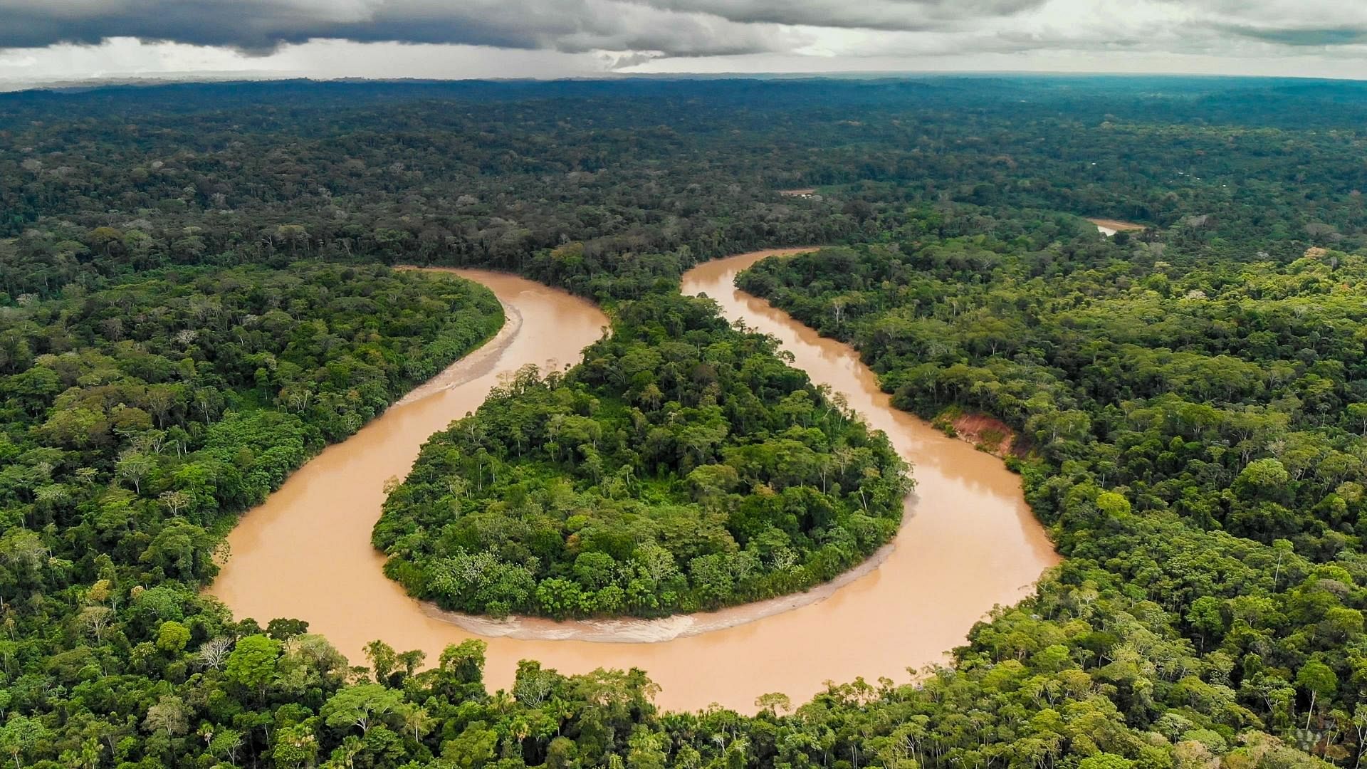 Ecuador leading the way in working alongside Indigenous groups to ...