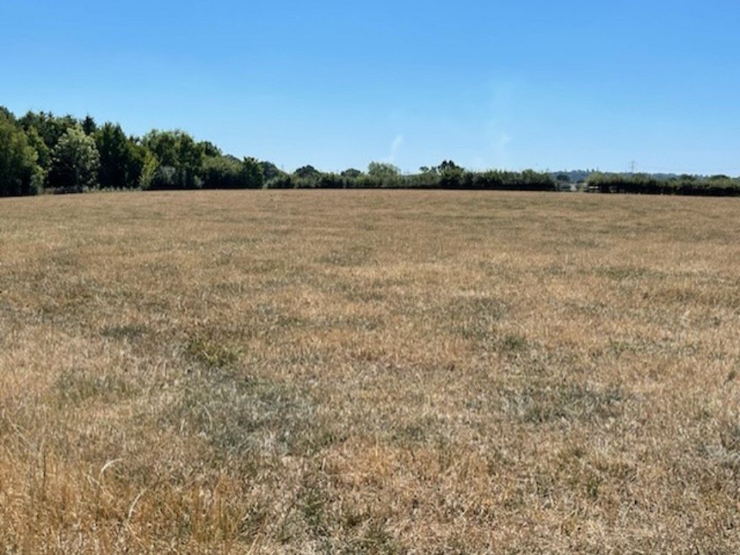UK farmers' fields dry out amid heatwave and drought | Euronews