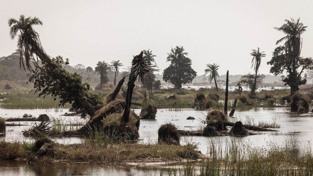 Gambia: Eleven dead in worst floods in 50 years - report | Africanews