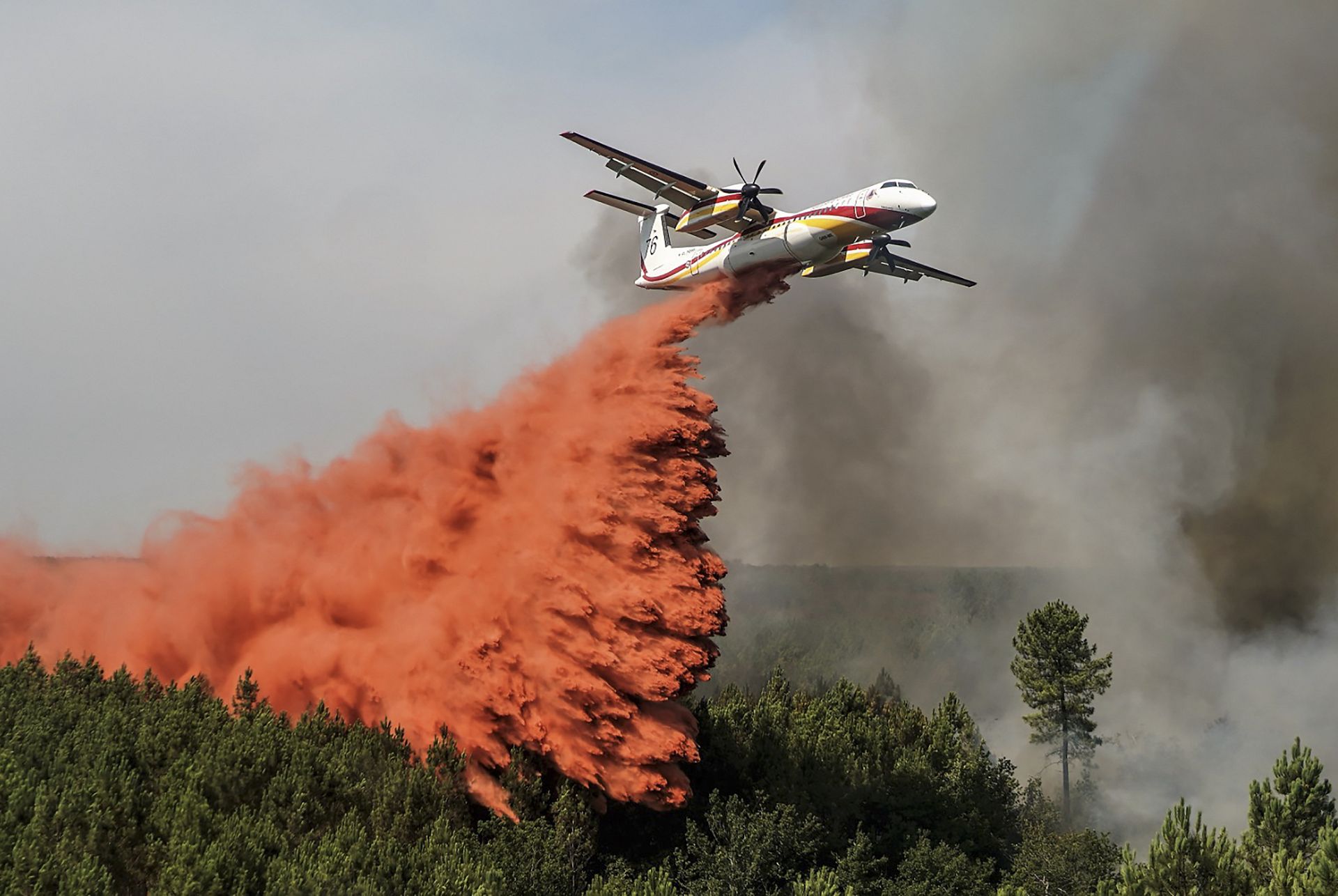 In pictures: France's battle against catastrophic wildfires | Euronews