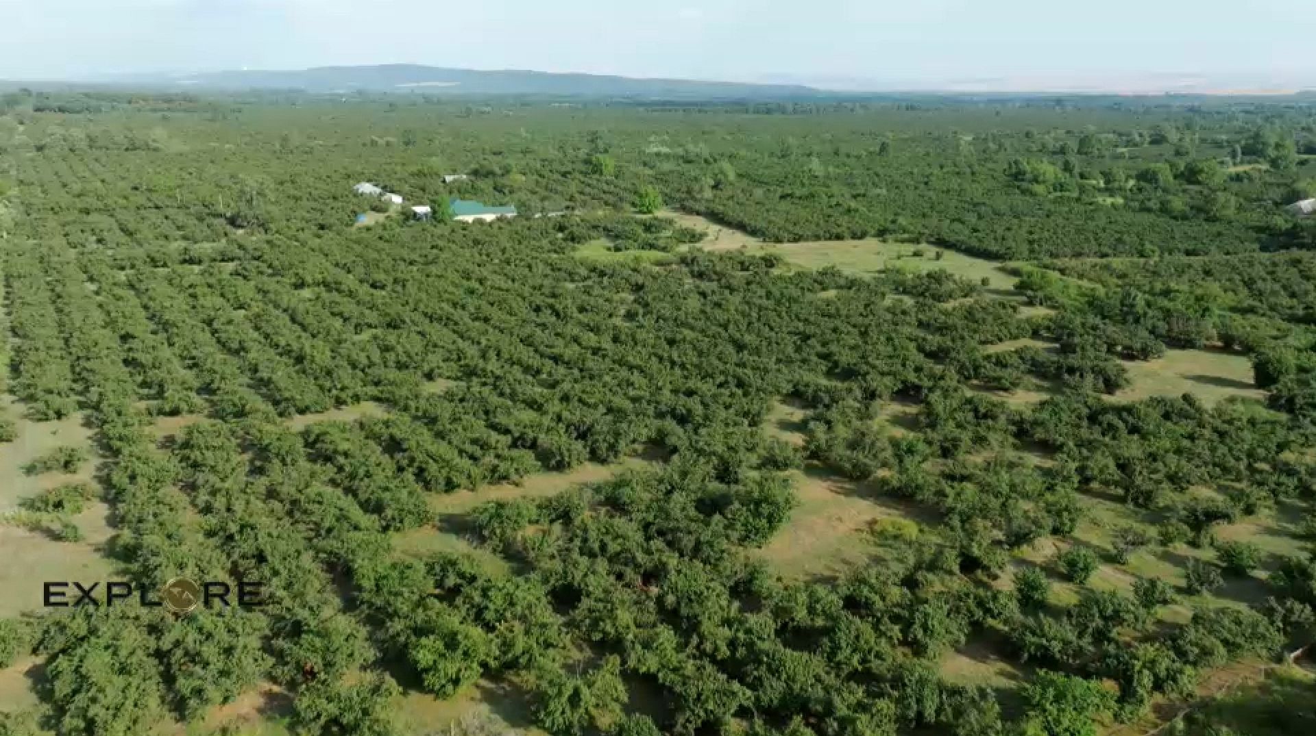 Hiking in Azerbaijan's Gabala and a taste of slow food cuisine | Euronews