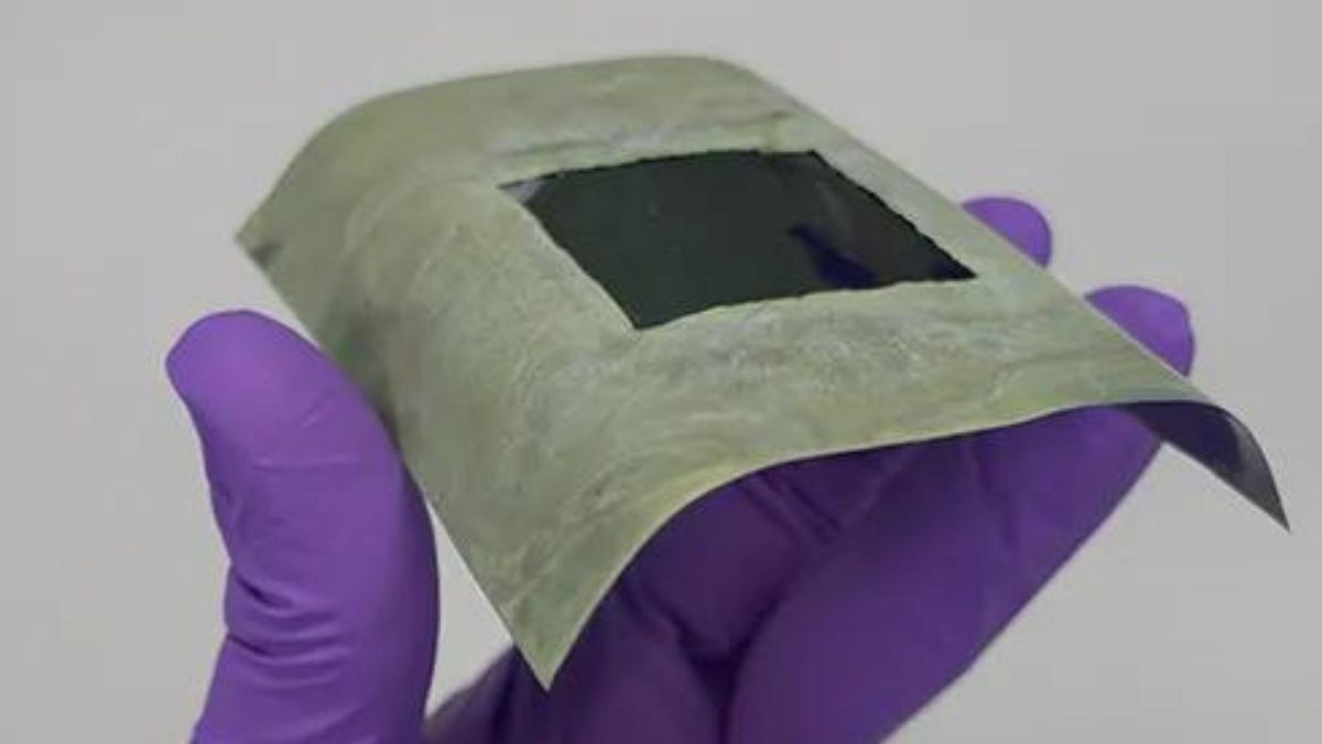 Could this tiny floating leaf decarbonise some of the world's biggest ...