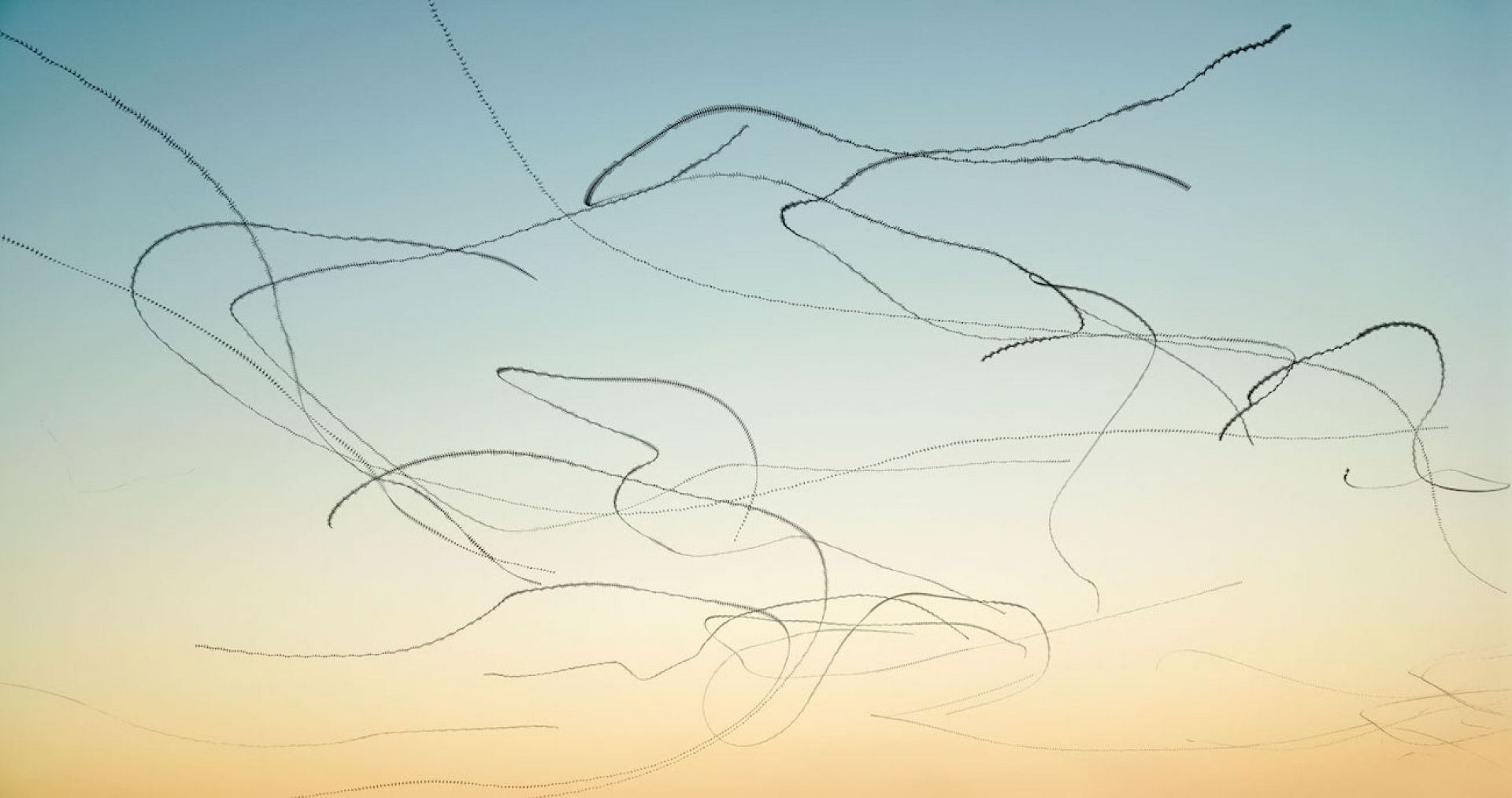 World Photography Day: Xavi Bou’s photos show the magical traces birds ...