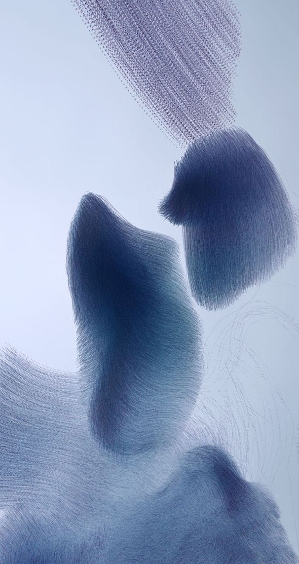 World Photography Day: Xavi Bou’s photos show the magical traces birds ...