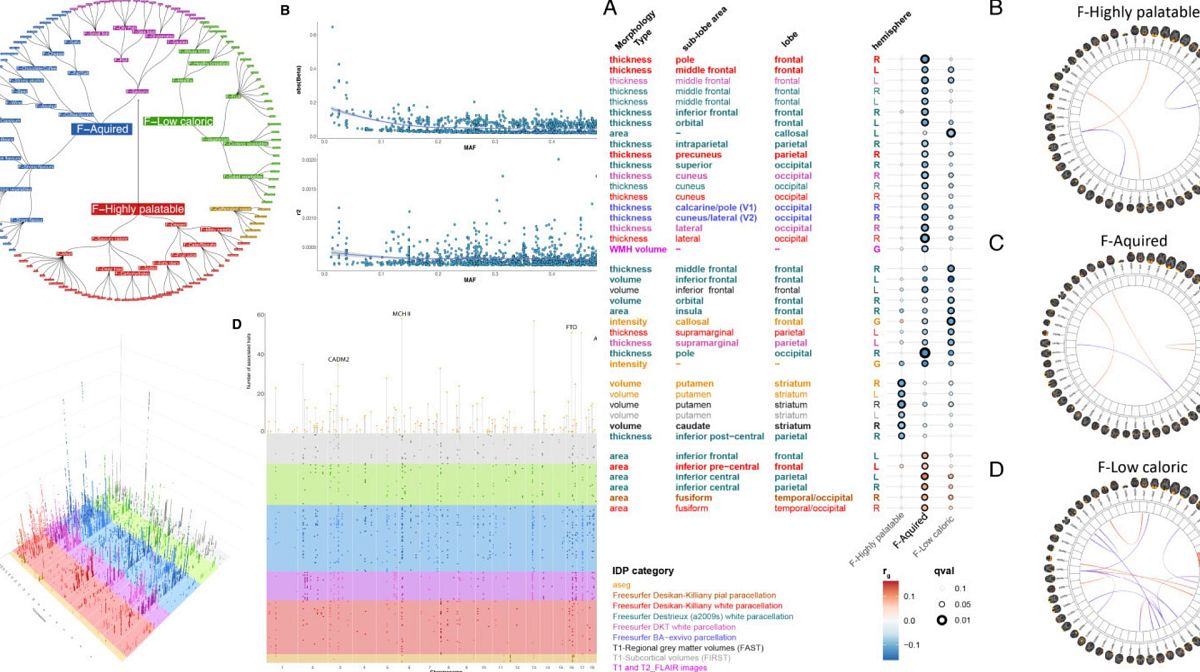 Your taste preferences could be down to your genes, a new study reveals ...