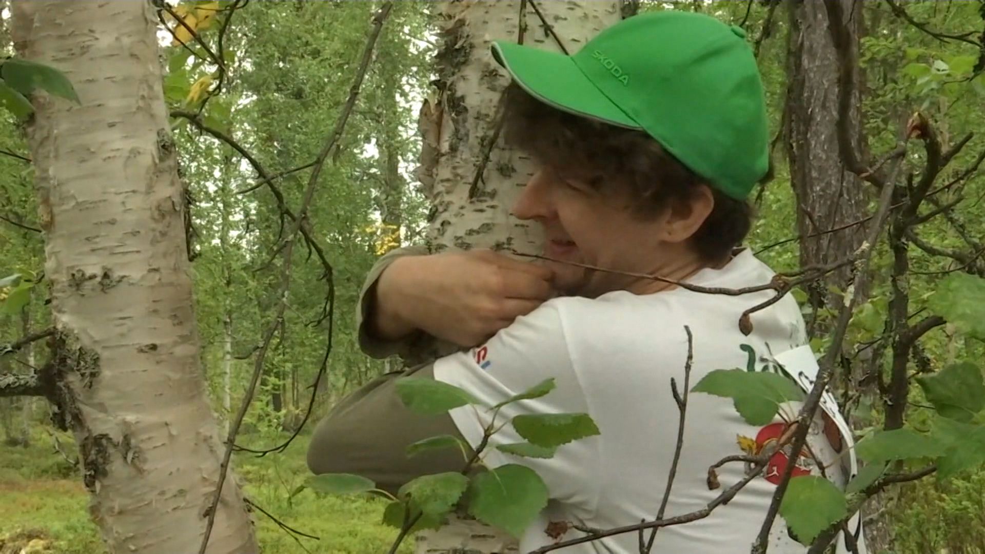 Video. Tree-hugging world championship took place in Arctic Finland ...